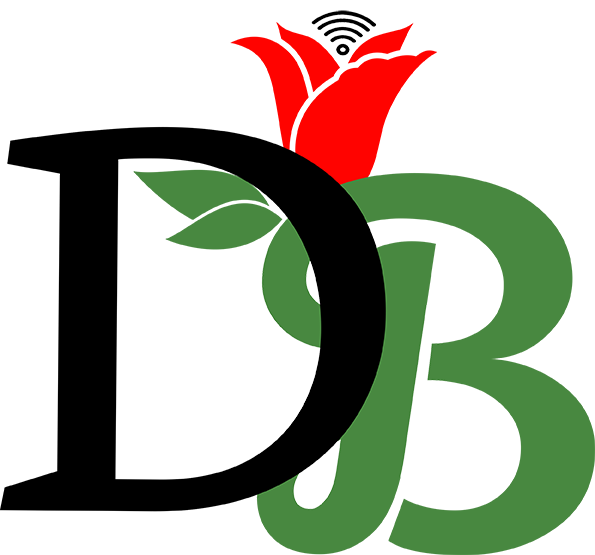 About Us - Digital Bloomz